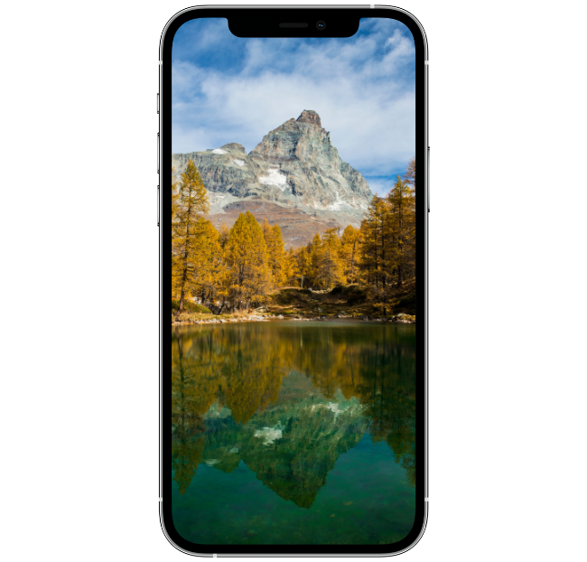 ProStream X Video Stream Processor & Media Gateway | Harmonic