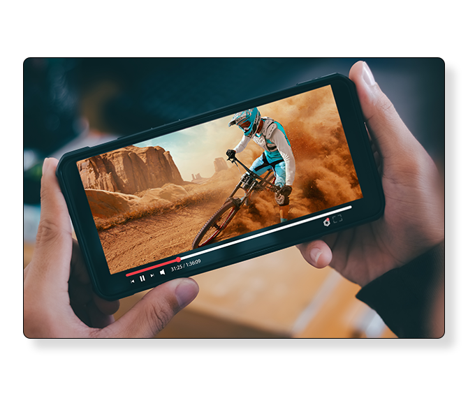 ProSwitch | IP & ASI Streaming Redundancy Switch | Harmonic