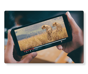 ProView 7100 | Video Streaming | Contribution | Harmonic