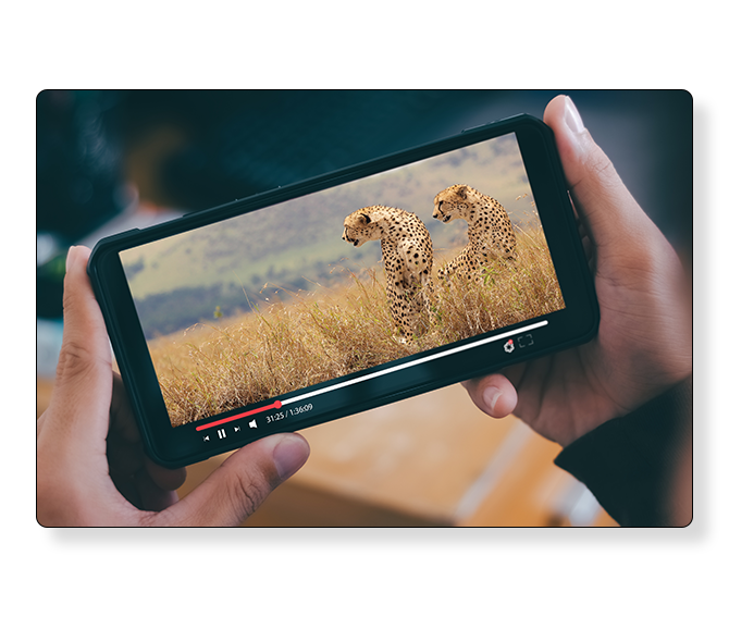 ProView 7100 | Video Streaming | Contribution | Harmonic